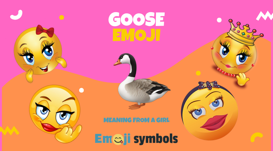 Goose 🪿 Emoji Meaning From a Girl: Decoding Her Intentions | EmojiSymbols.net